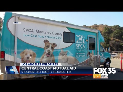 SPCA Monterey County disaster response team heads to Los Angeles for rescue efforts