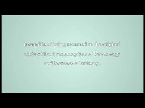 Irreversible Meaning
