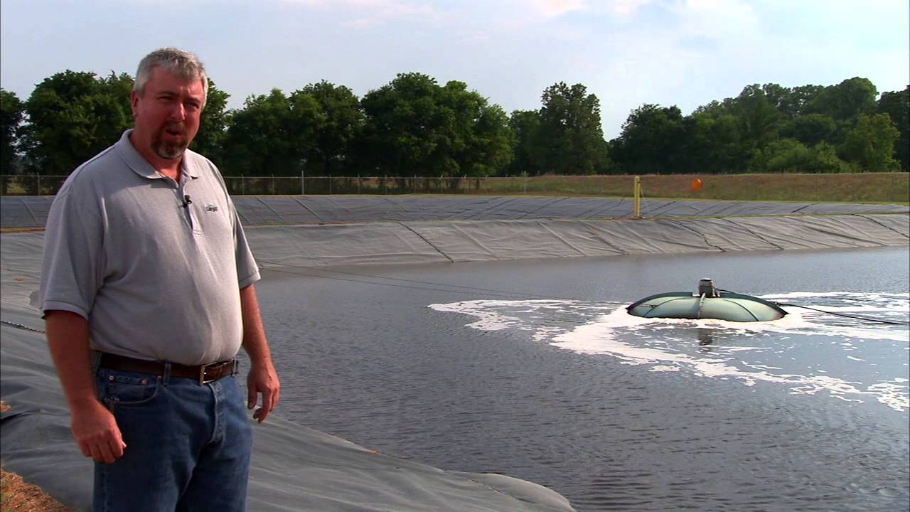 Sustainable Pig Farmers Embrace Technology