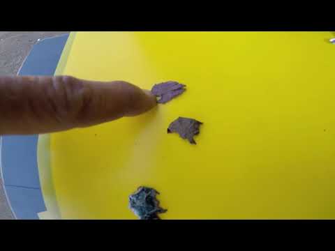 Fuel Tank Sealant Tale - Grumman Style