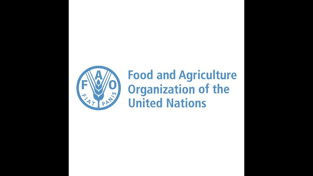 Investing in Inclusive Agrifood Systems Transformation