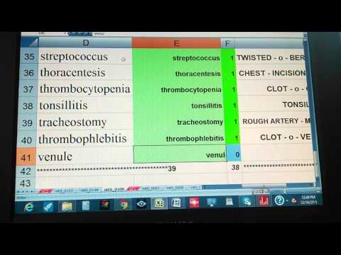 Medical Terminology JJ-T01-0109 myalgia