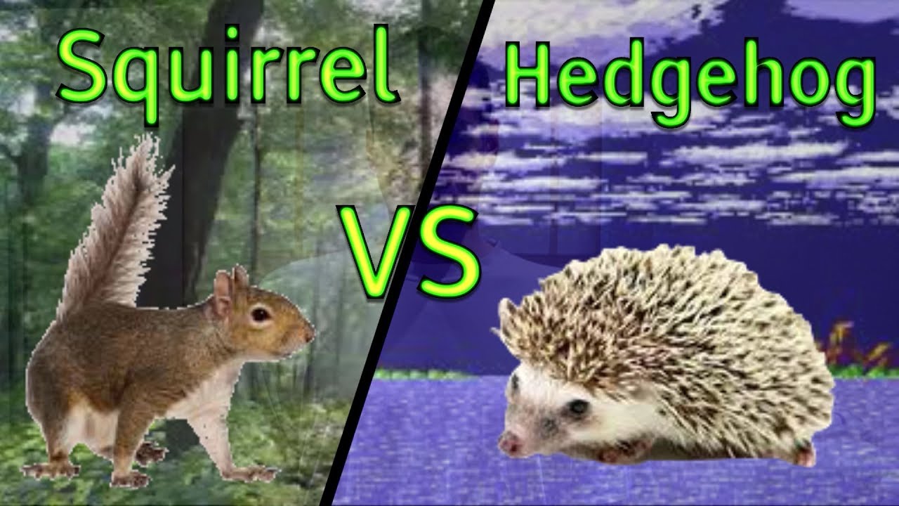 Squirrel vs Hedgehog | RAP BATTLE
