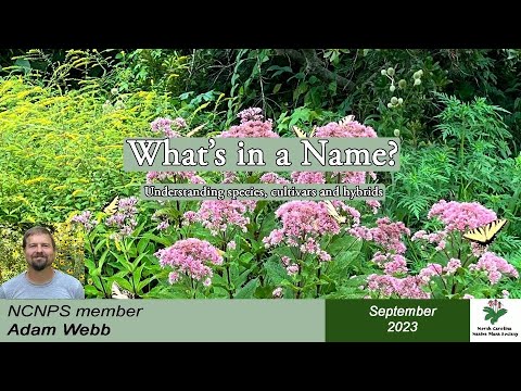 What's in a Name: Understanding species, cultivars and hybrids