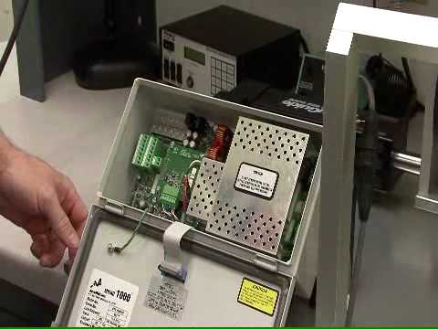 Chip Replacement 1