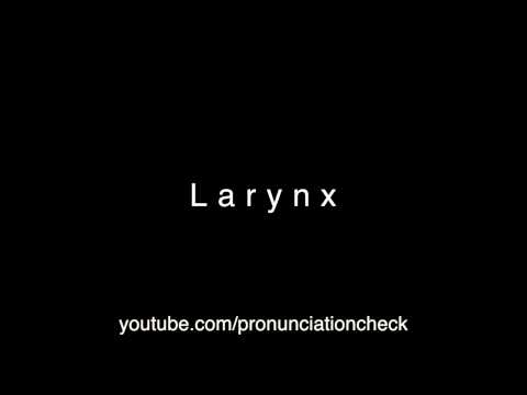 How To Pronounce Larynx