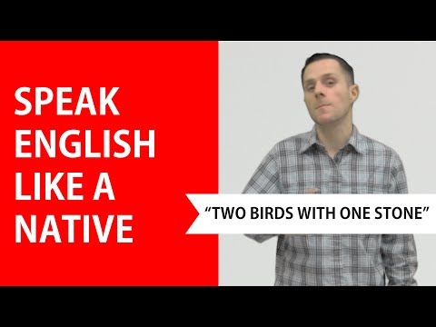 Easy English Idioms and Sayings – Killing Two Birds With One Stone