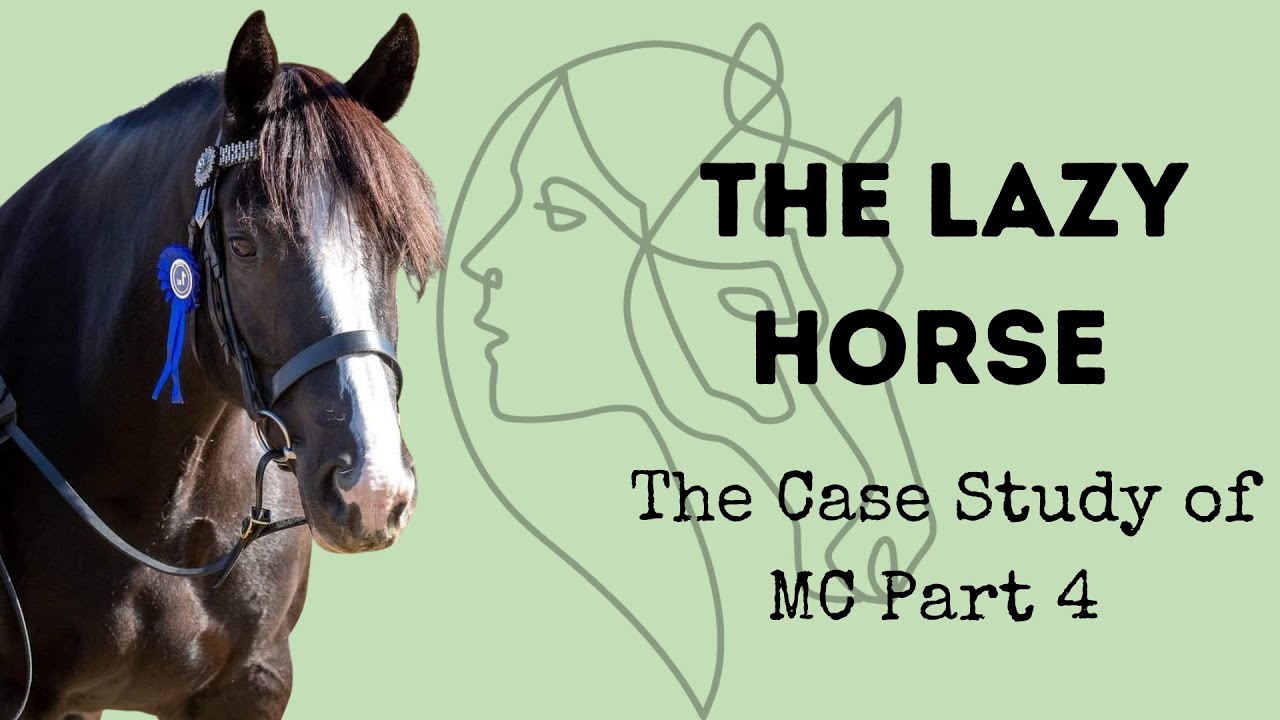 Case Study - The Lazy Horse Part 4