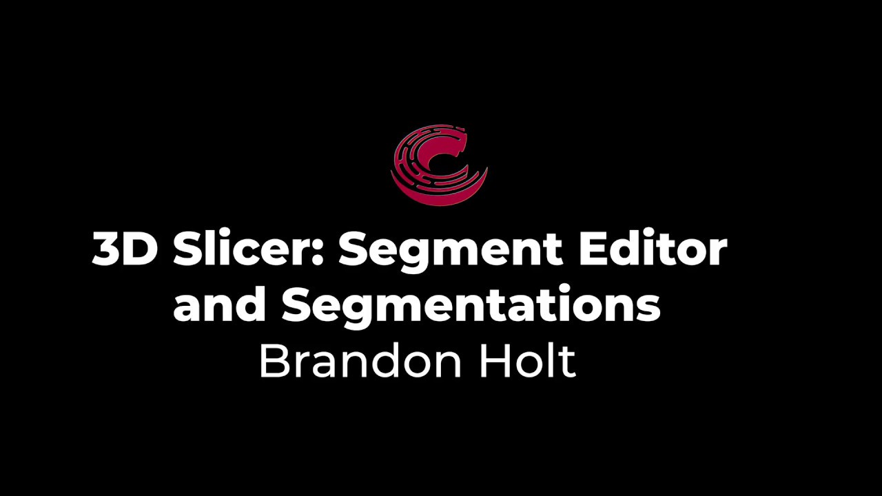 3D Slicer - Segment Editor and Segmentations