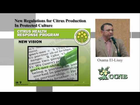 New Regulations for Citrus Production in Protected Culture