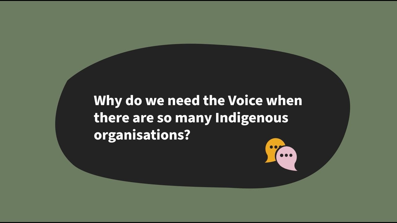 Why do we need the Voice when there are so many Indigenous organisations?