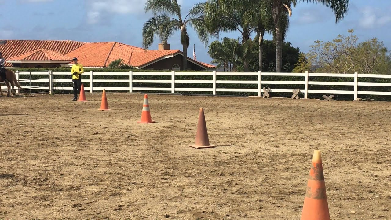 IMG 0893