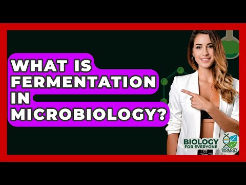 What Is Fermentation In Microbiology? - Biology For Everyone