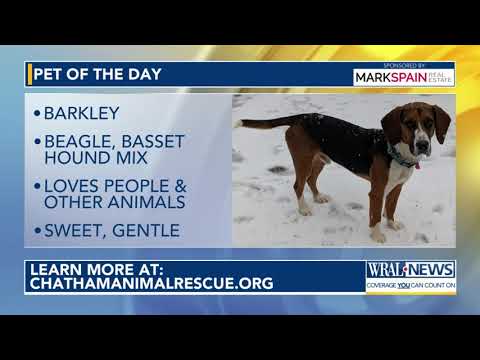 Pet of the Day for March 8, 2025