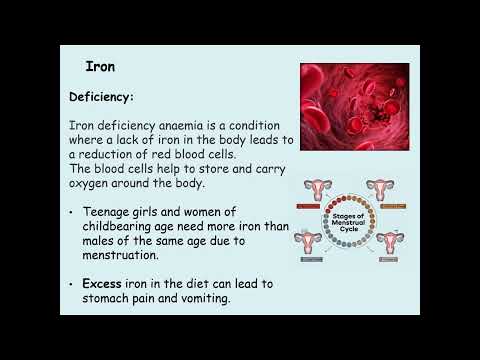 Iron (mineral in food) GCSE