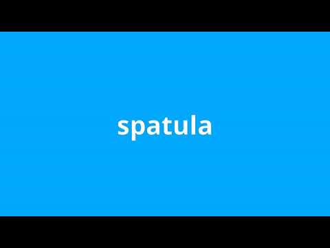 what is the meaning of spatula