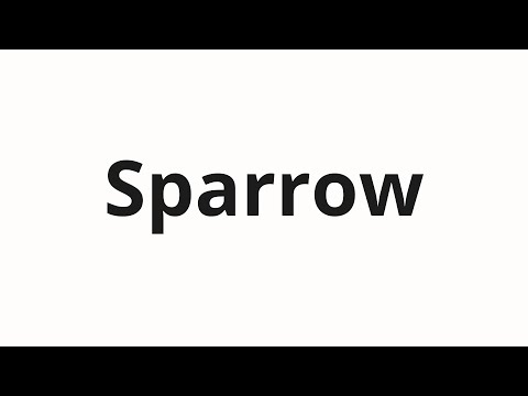 How to pronounce Sparrow