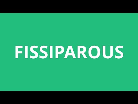How To Pronounce Fissiparous - Pronunciation Academy