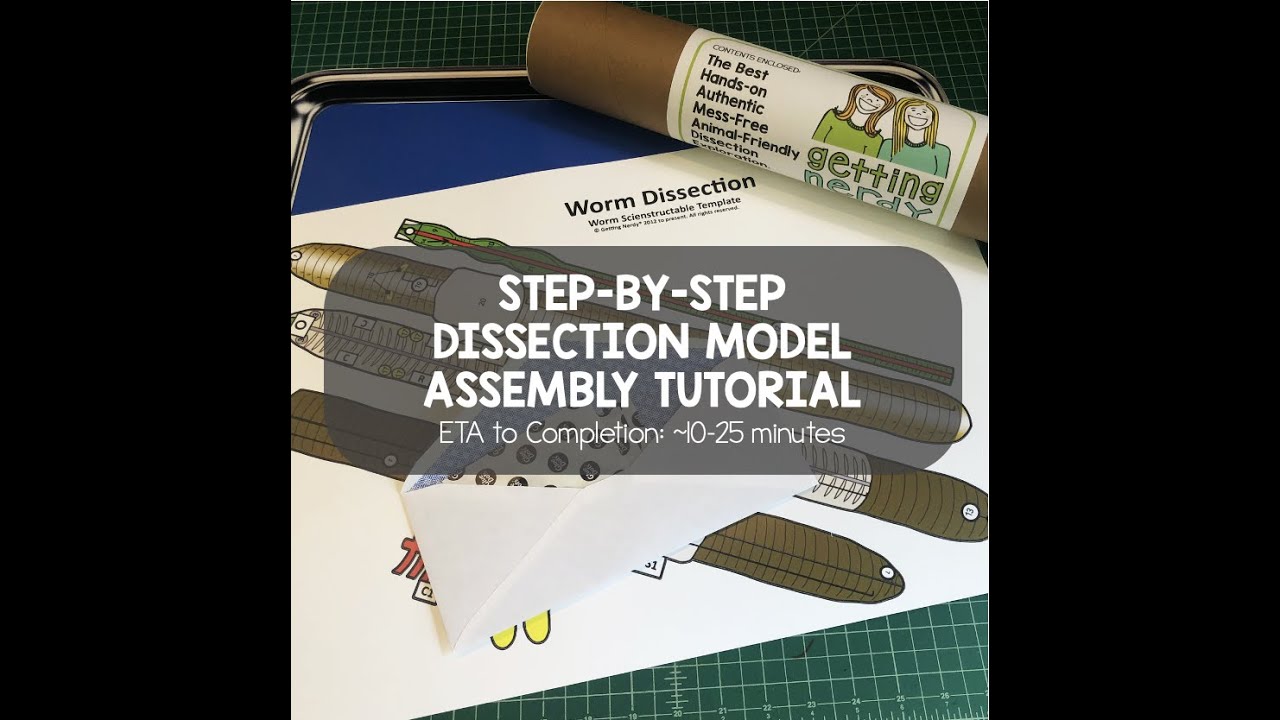 Dissection Models: Worm Model Assembly