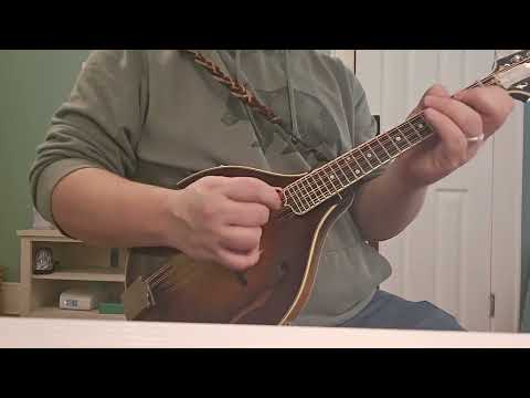 Stan Miller A style 2009 - Natural burst | Reverb