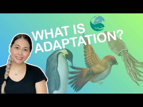 What is biological adaptation? | SHE-ensya basics