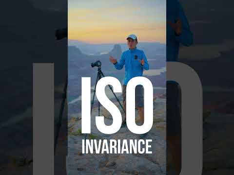 ISO in Photography - EVERYTHING You Need to Know