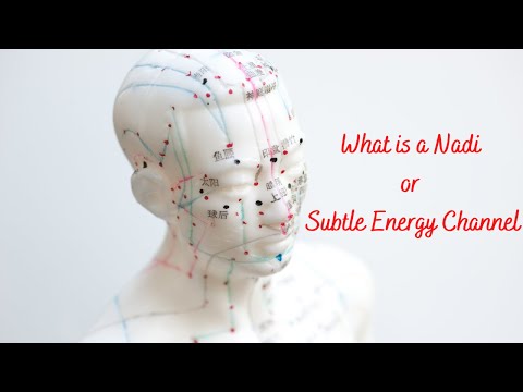 What are Nadis | Know the different Energy Channels in the human body and their impact on our lives