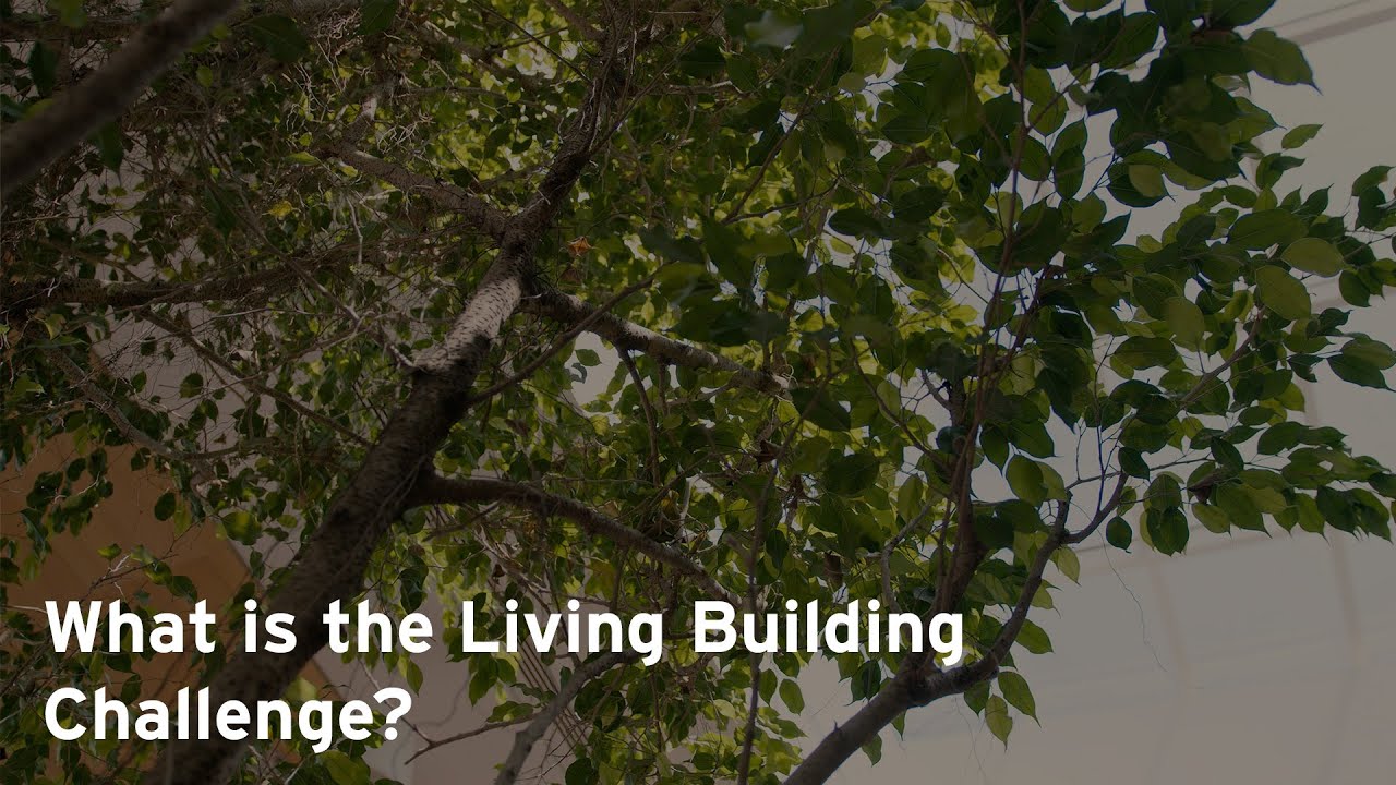 What is the Living Building Challenge?