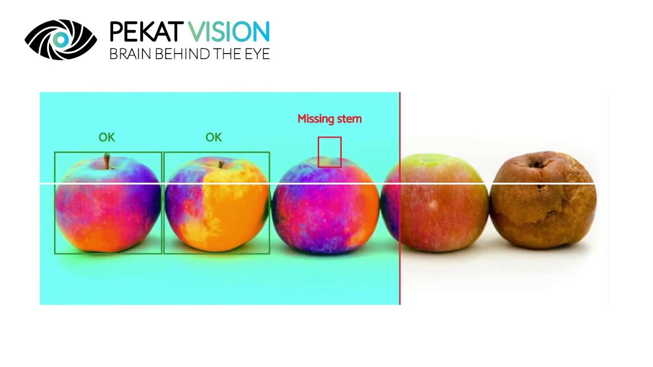 PEKAT VISION Demonstration