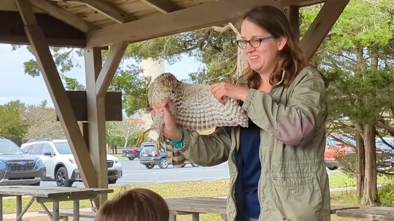 Cape May Raptor Banding Project