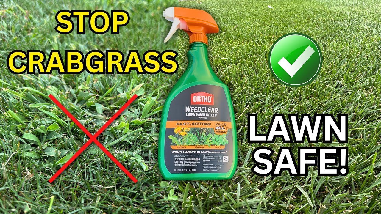 How to Kill Crabgrass Without Killing Your Lawn – Easy & Safe Fix!