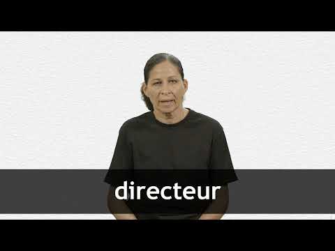 English Translation of “DIRECTEUR” | Collins French-English Dictionary