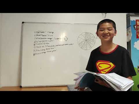 Year 7 Explain Pie Chart