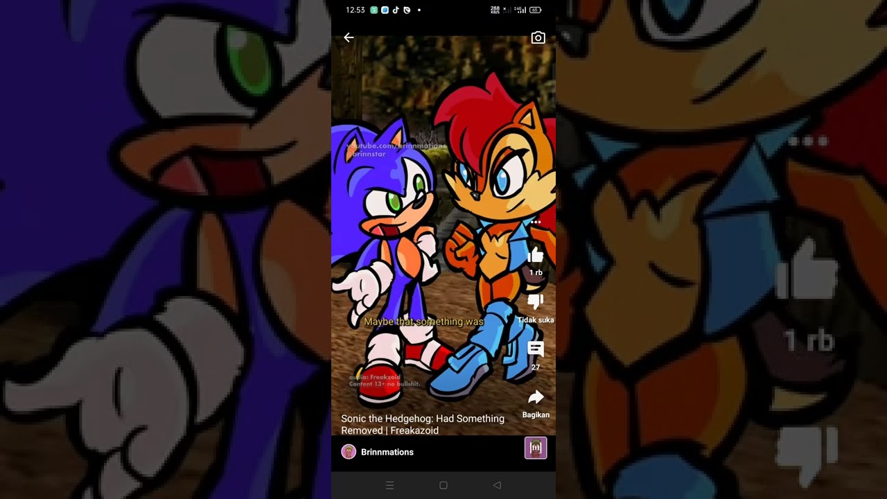 Sonic The Hedgehog: Had Something removed #sonicthehedgehog #sallyacorn