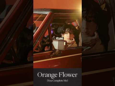 #ENHYPEN ORANGE BLOOD Preview 'Orange Flower (You Complete Me)'