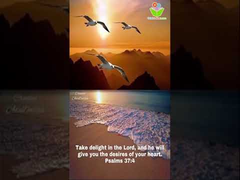 Take delight in the lord #bible quotes #christ #proverbs #thinkcreatelearn