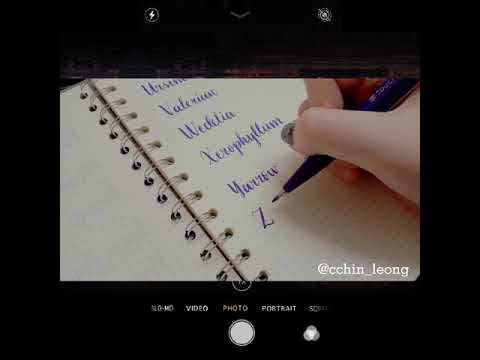Calligraphy Handlettering Brush Pen Practice • Flower Name A to Z • Z for Zenobia