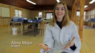 What Is An Environmental Health Technician? Environmental Health ...