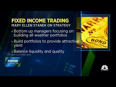 We take an all-weather approach: Morningstar's top fund manager