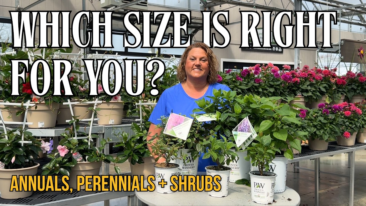 Plant Size Guide: How to Choose the Right Size Plants for Your Garden