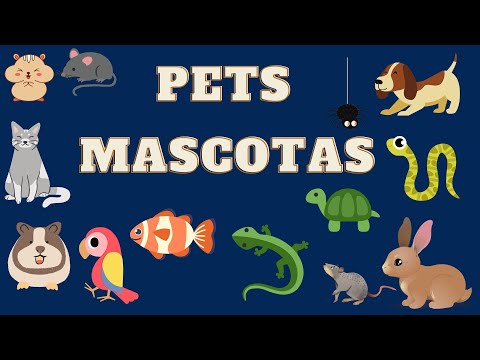 PETS - in ENGLISH and SPANISH translation for kids