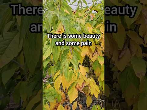 Motivational Quote 🍂 October 2023
