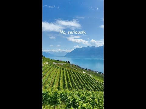 The Lavaux Vineyards, Switzerland