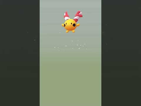 Oh?…Hatching Chingling in Pokémon Go!