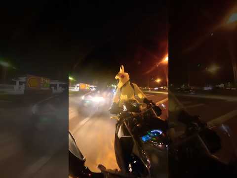 What’s it like riding in Rush Hour traffic with Houston NPC Drivers