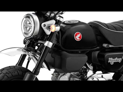 New Honda Monkey 2024, New Colors Concept, Released Japan,