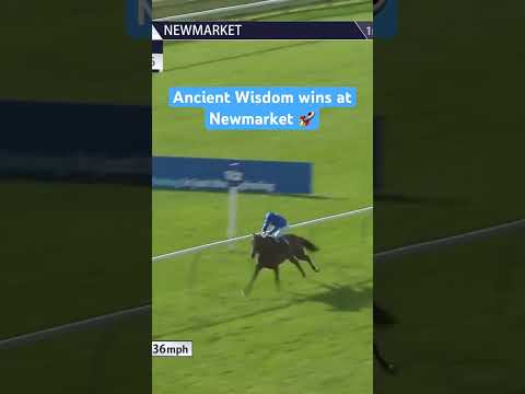 €2 million purchase wins at Newmarket #horse #horseracing #racingtv