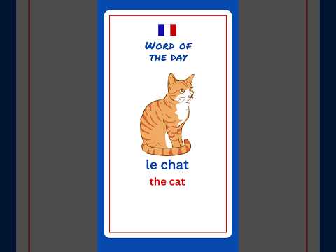 How To Say Cat In French | French For Beginners