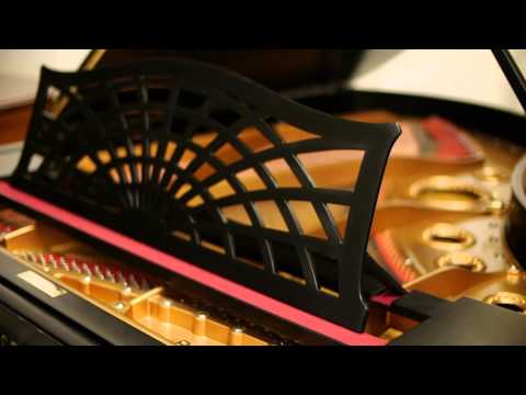 Rebuilt Bechstein Semi-Concert Grand Piano for Sale - Used Bechstein Piano