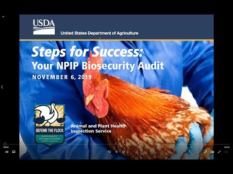 Steps for Success: Your NPIP Biosecurity Audit